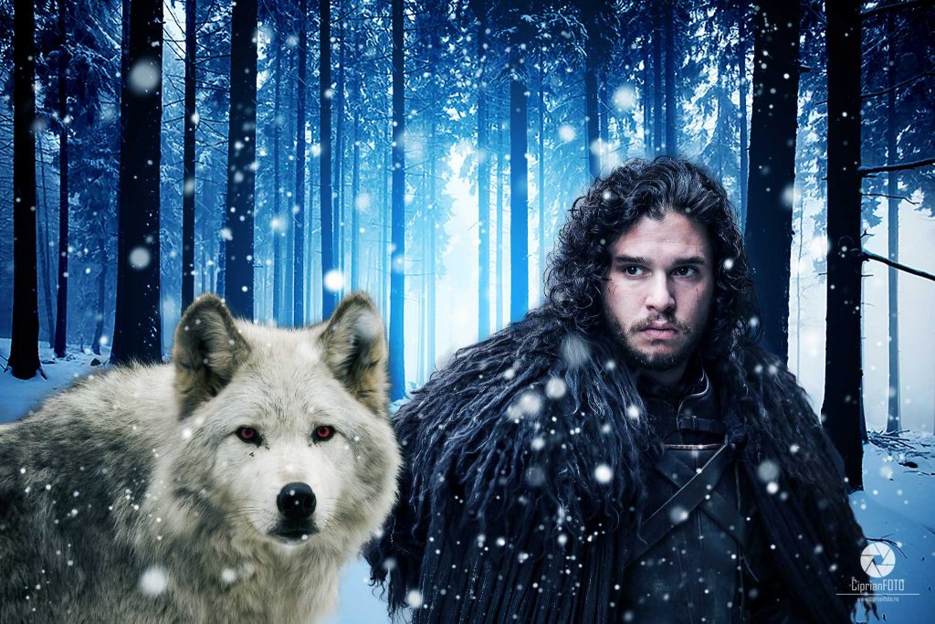 Jon Snow And His Ghost Direwolf | Fantasy Surreal Scene | Photoshop ...