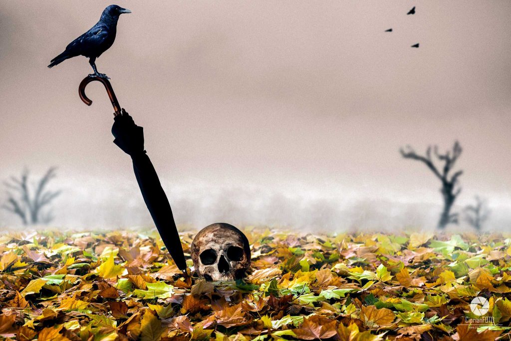 Lost Umbrella | Fantasy Surreal Scene | Photoshop Tutorial | Photo ... Lost Umbrella | Fantasy Surreal Scene | Photoshop Tutorial | Photo ...