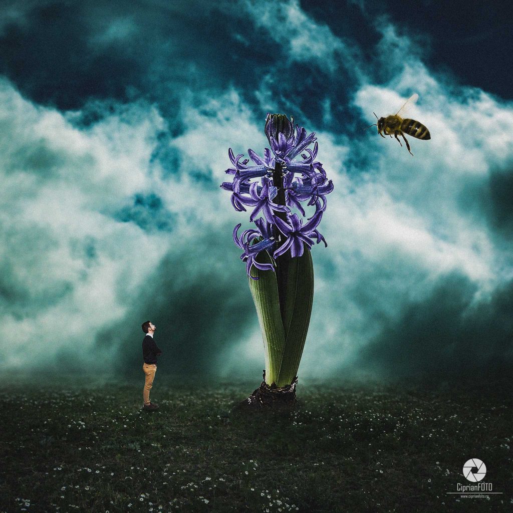 Spring Attraction - Fine Art Scene - Photoshop CC 2018 Tutorial - Photo ...