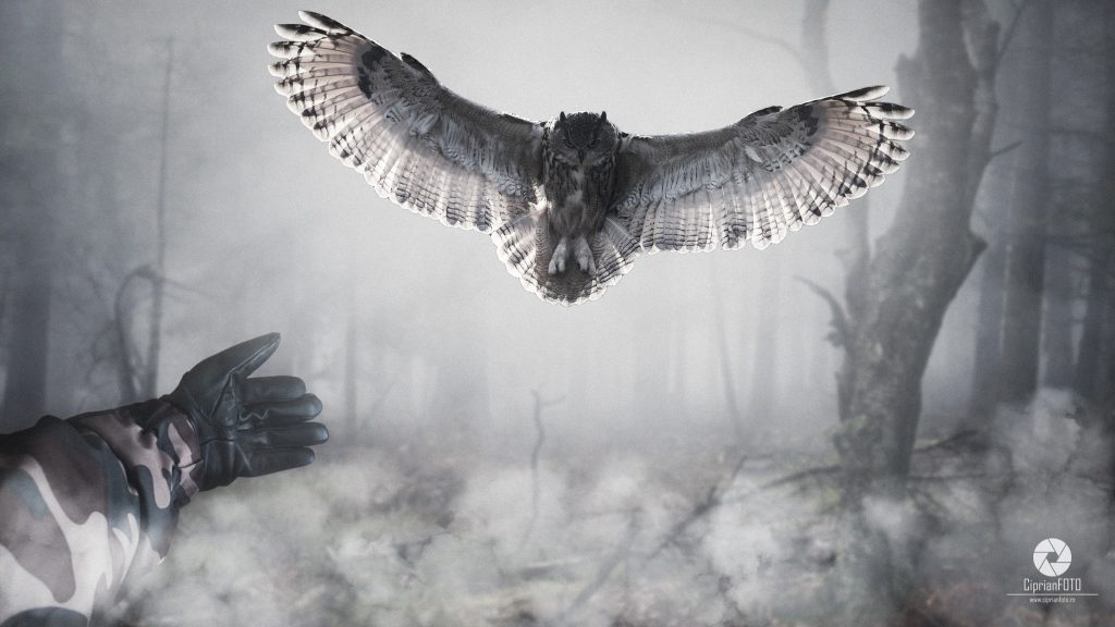 The Predator Of The Forest - Photoshop Manipulation Tutorial ...