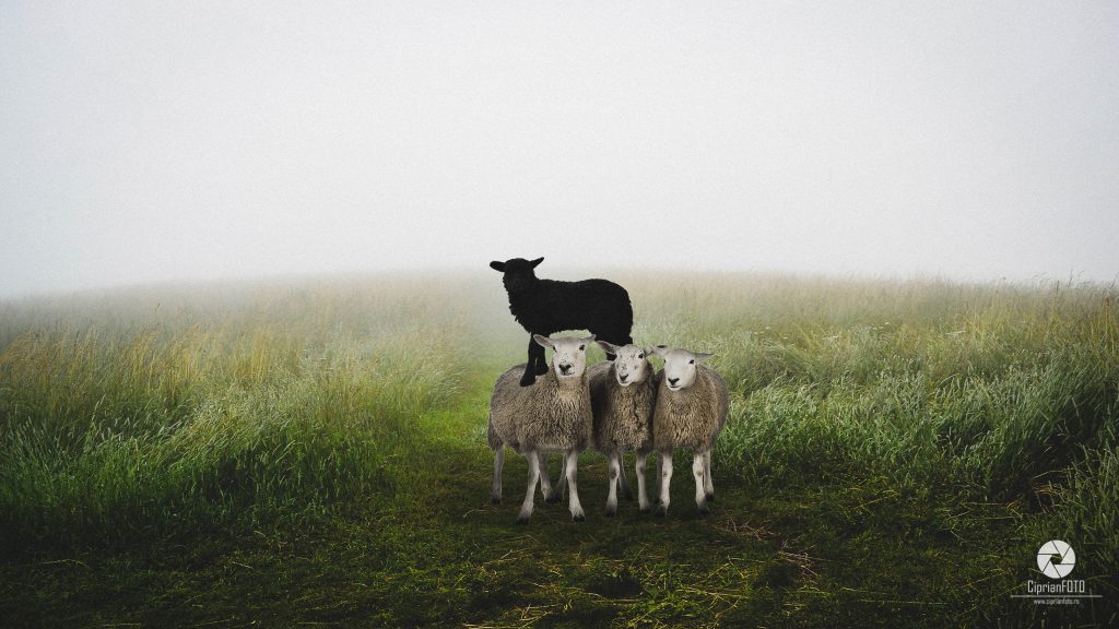 Contrast - Photoshop Manipulation Tutorial - CiprianFOTO | Photoshop ...