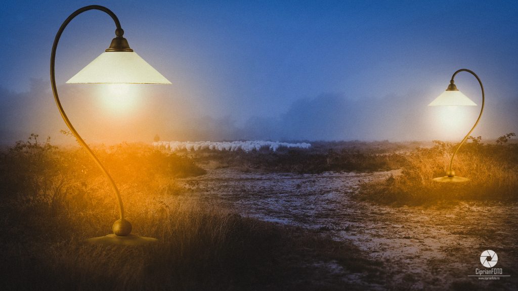The Illuminated Field - Photoshop Manipulation Tutorial - CiprianFOTO ...