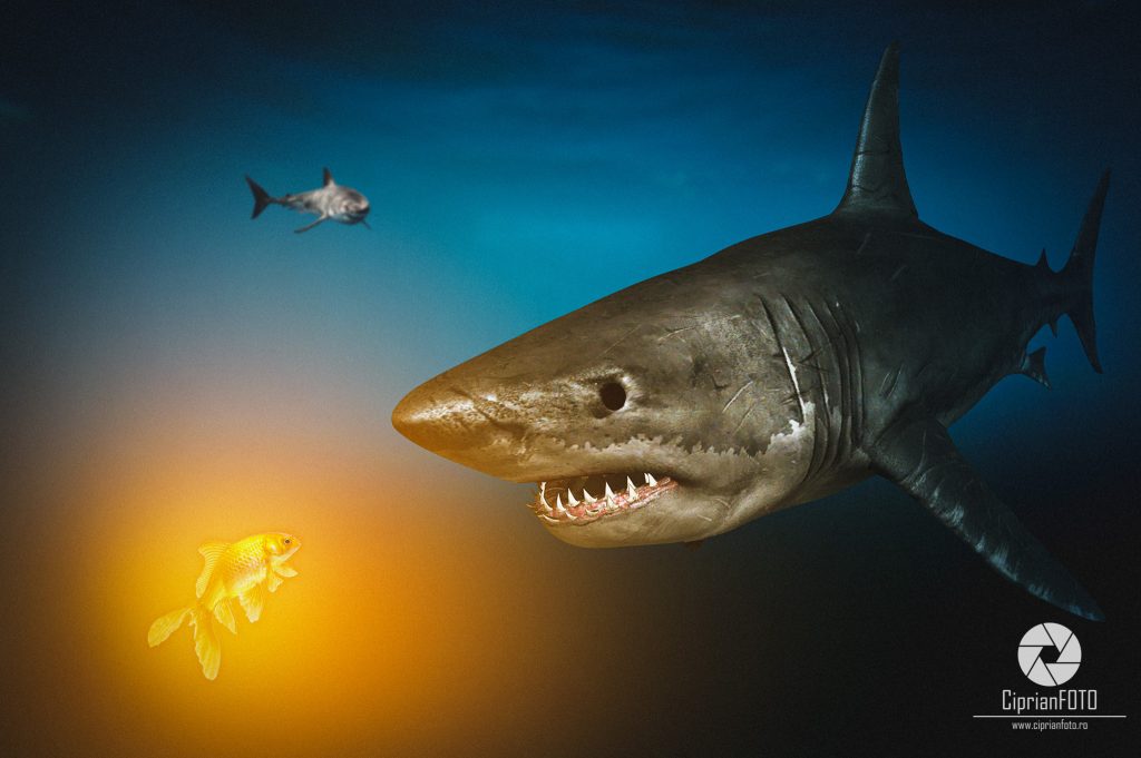 Photoshop Tutorial Glow Effect Tutorial Goldfish And Sharks